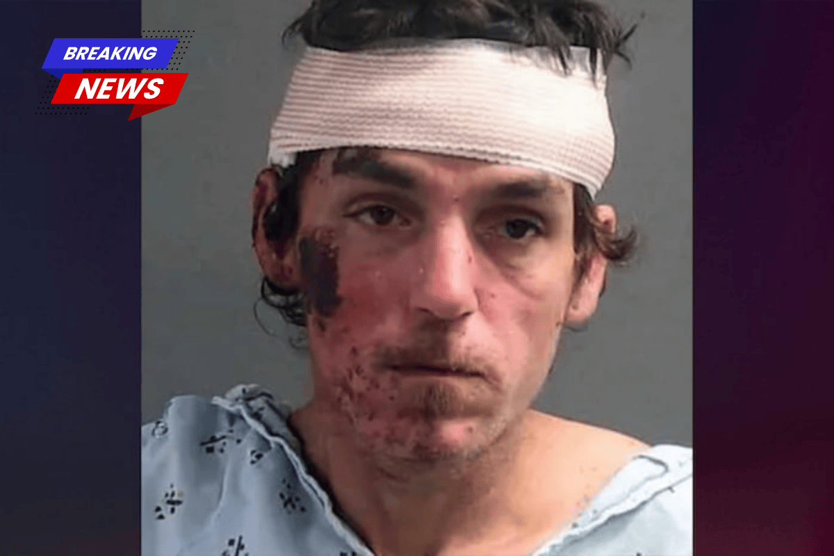 Just days after his release from jail, Florida man allegedly choked a ...